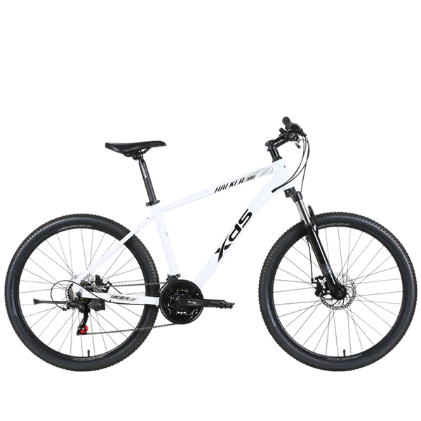 XDS Hispeed 380 - High-Performance Road Bike | Elevate Your Ride – JanjiRide.SG