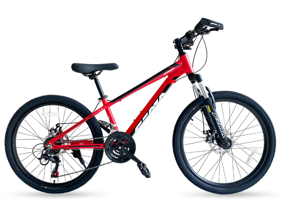 Royalloy MTB 24" – JanjiRide.SG